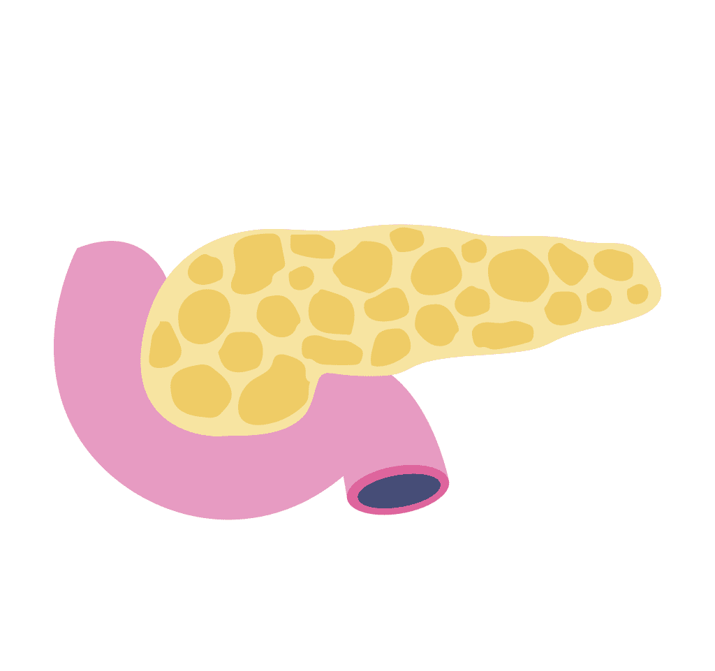 Acute Pancreatitis: Causes, Symptoms And Prognosis Explained