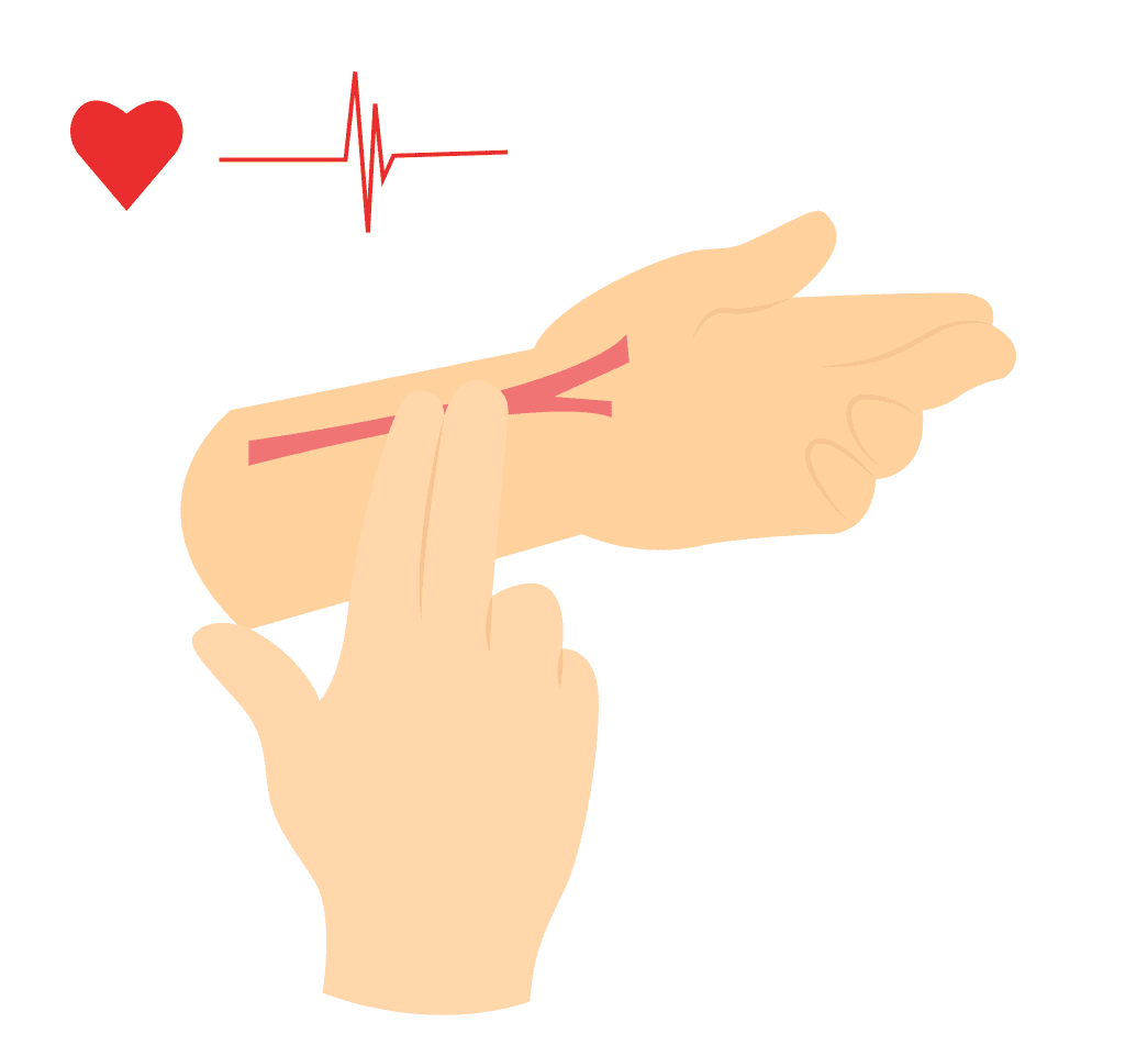 Pulse In Prehospital Setting : Everything You Need To Know